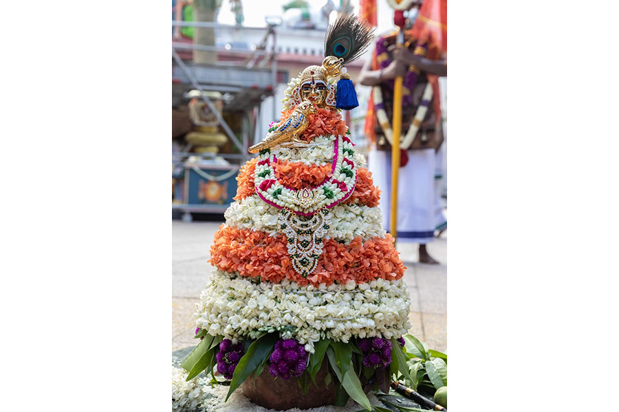 Discover The Stories Within