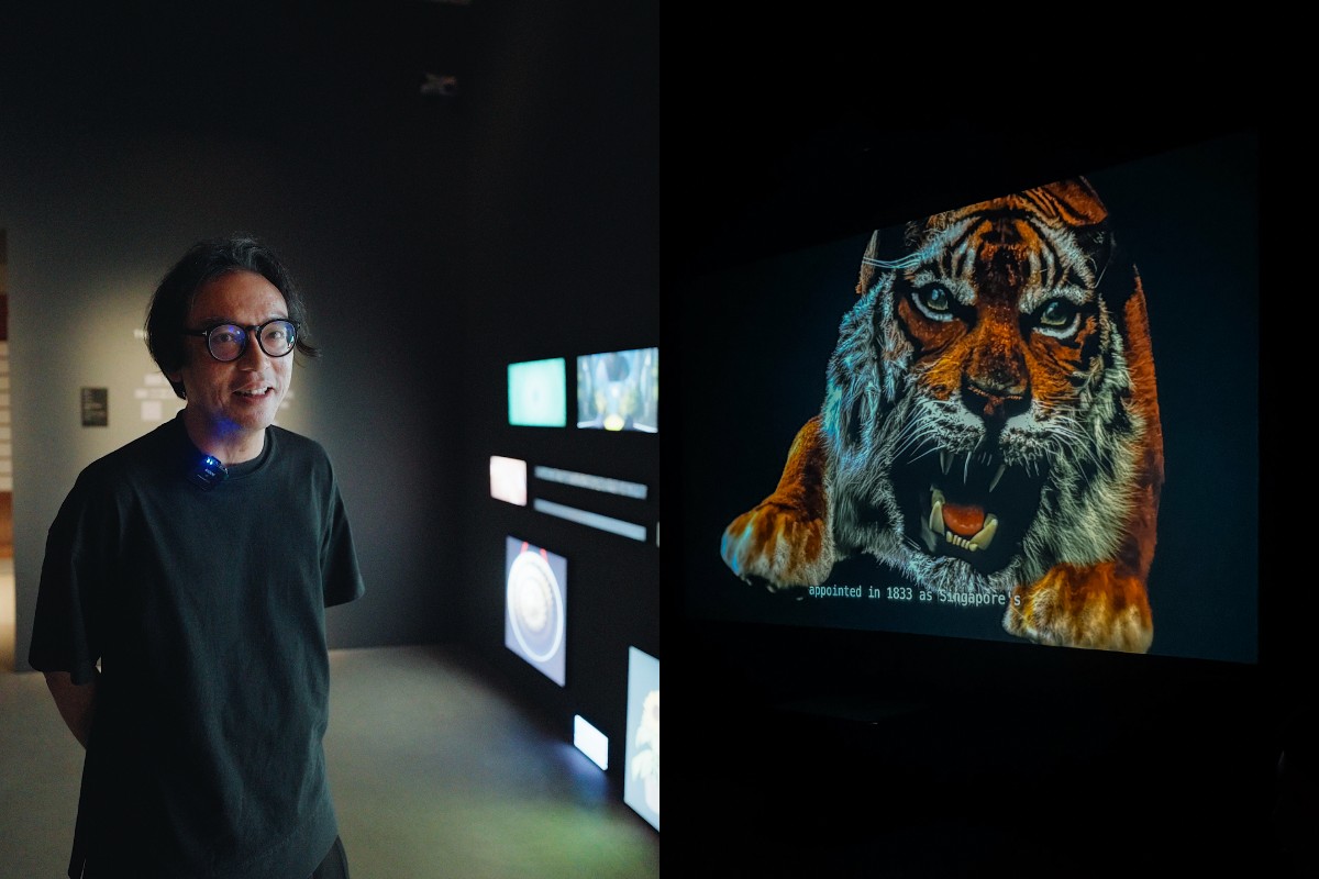 Discover The Stories Within