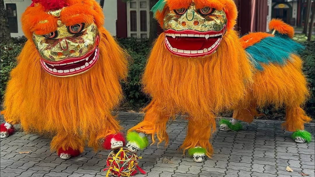 Singapore Lion Dance Troupe