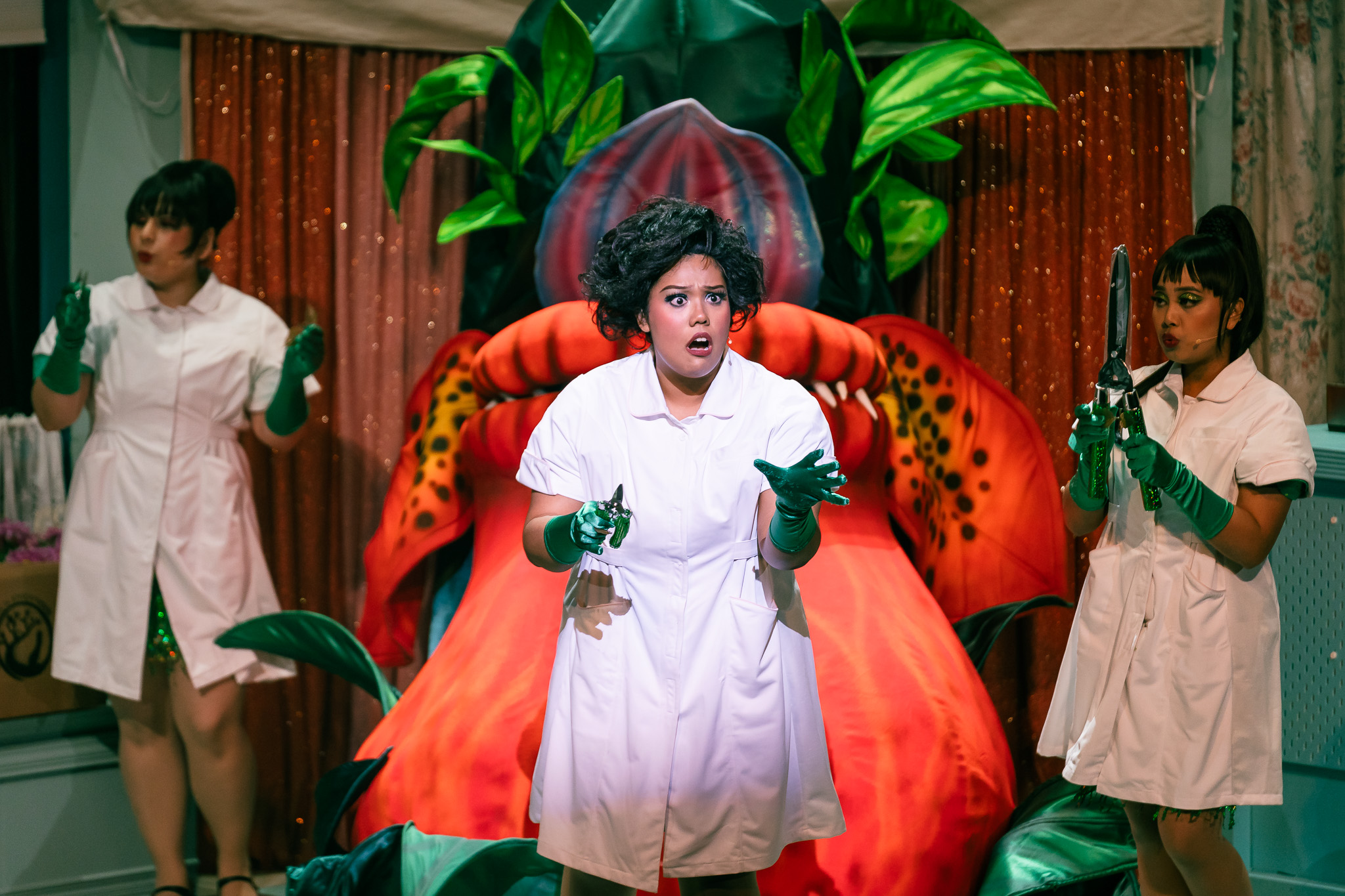 Little Shop of Horrors 2204